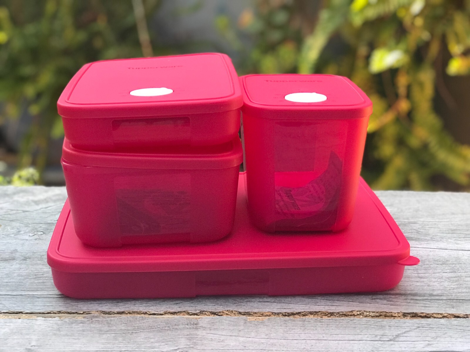 Tupperware Freeze Smart (Set of 4) Containers w/Dial red - New | eBay