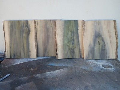 Four Blue mahoe wood Blank 1/2 X 8 X 12 | eBay