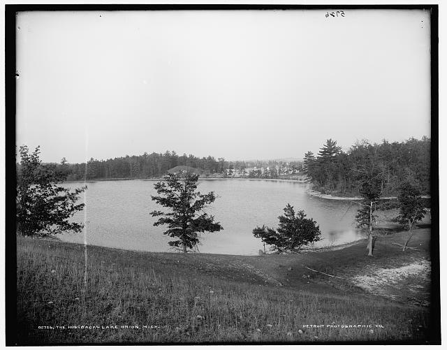 Hogsback,water bodies,trees,shore,hills,ponds,Lake Orion,Michigan,MI ...