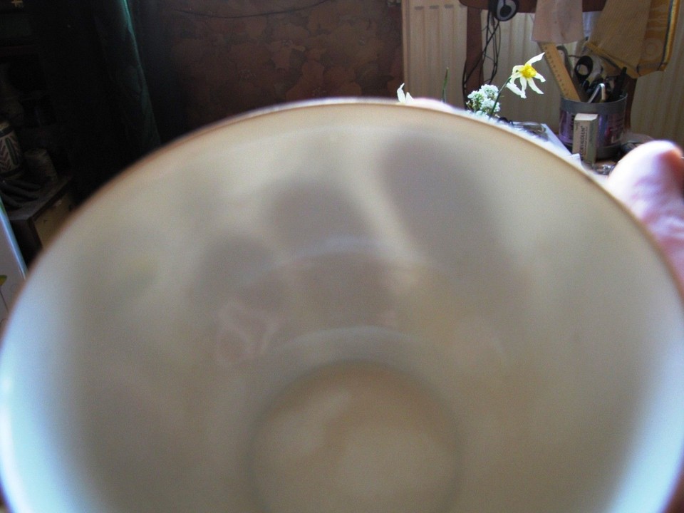 Antique Latvia Factory JESSEN Riga Cup Saucer Plate white RARE Collectibles | eBay