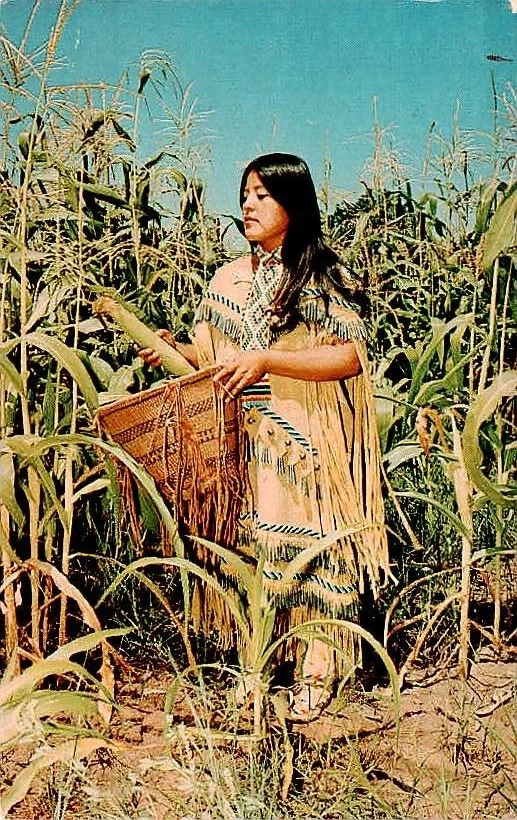 Apache Indians Corn