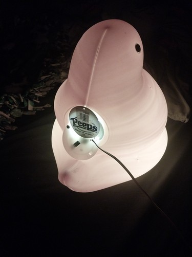 Large 15" Lighted Blow Mold Peep Peeps Easter Chick in Yellow | eBay