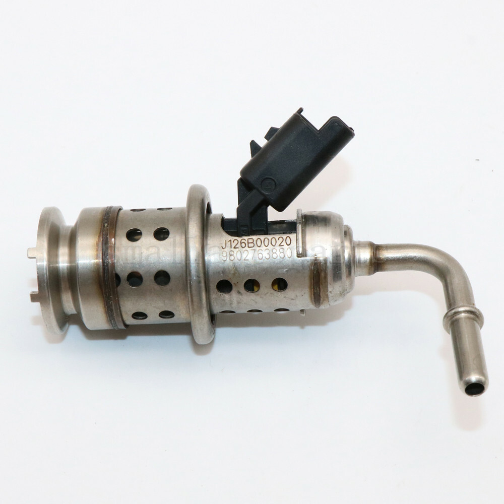 Genuine Adblue Fuel Injector 9802763880 G048B03134 for Citroen Peugeot ...