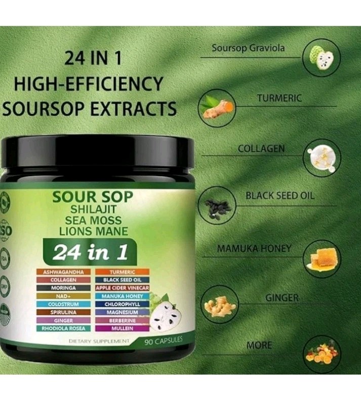 24 in 1 Soursop Capsules - Graviola Soursop 90 Capsules Free Ship | eBay