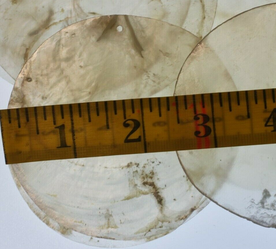 Drilled Hole Capiz Seashells 2 5/8 inch to 3 1/4 inch sizes, SS-127 | eBay