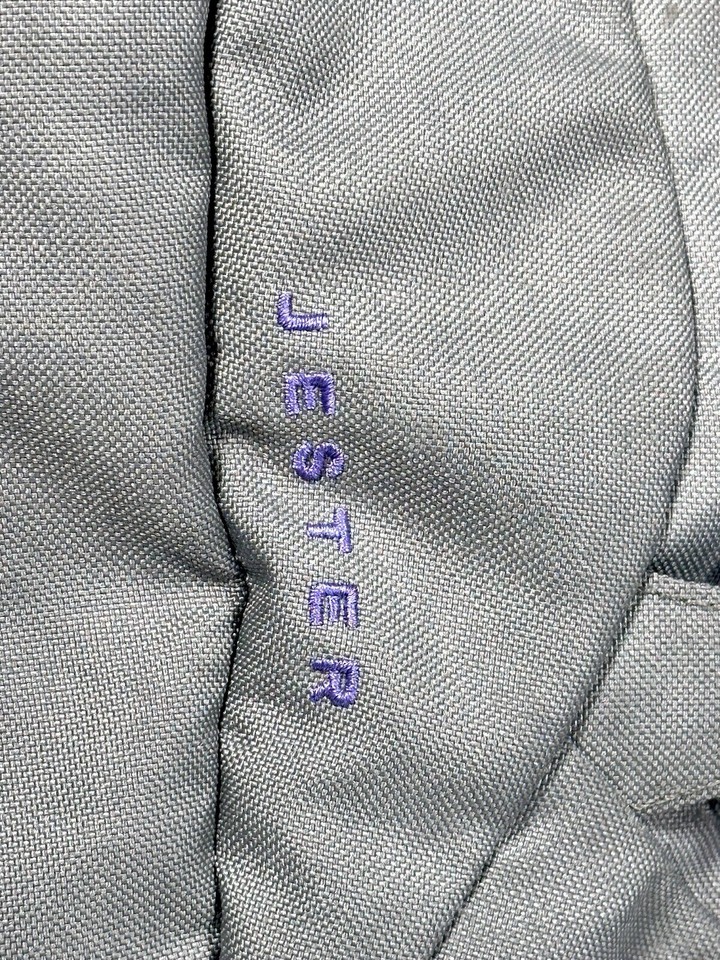 The North Face Jester Backpack - Gray With Purple - Very Good/Excellent | eBay