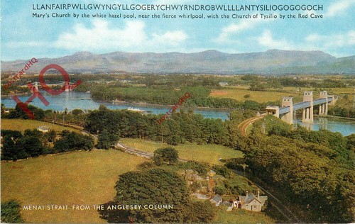 Picture Postcard:-Llanfair P.G., Menai Strait from the Anglesey Column [Salmon] | eBay UK