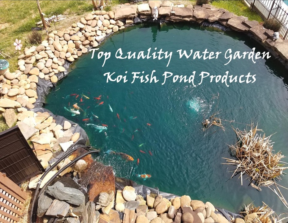 Heavy Duty Koi Pan Net 30'' Diameter HEAD ONLY, Part of PondH2o ...