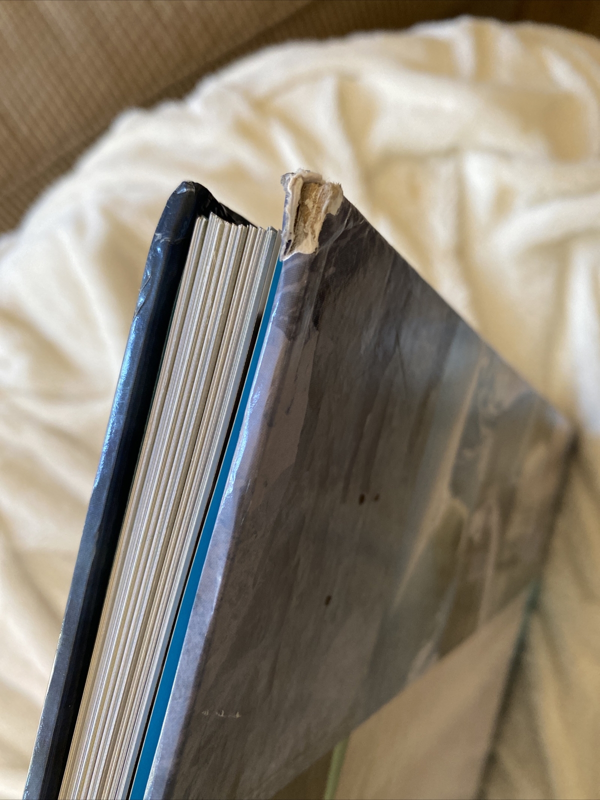 Polar Regions by Patrick Hook (2008, Hardcover) for sale online | eBay