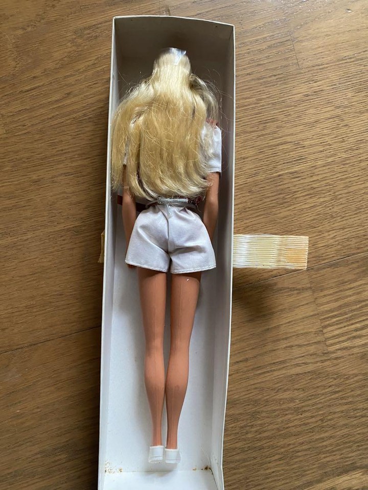 Vintage Barbie vintage barbie hobby toy DOLL series collection | eBay