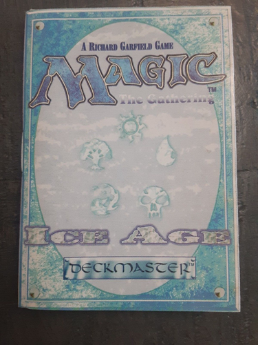 MTG Magic The Gathering Ice Age Rule Book | eBay