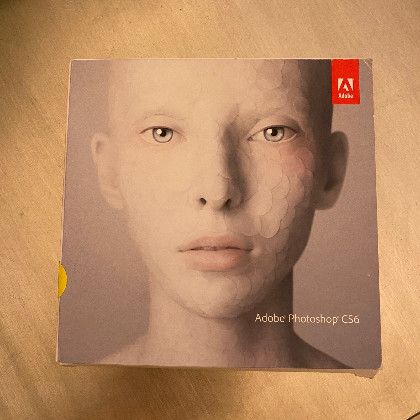 Adobe Photoshop CS6 for Mac OS + Photoshop Lightroom 4 trial (Disc ...