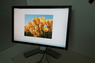 Dell 2408WFP 24" UltraSharp LCD Monitor w/4-Port USB HDMI VGA DVI ...