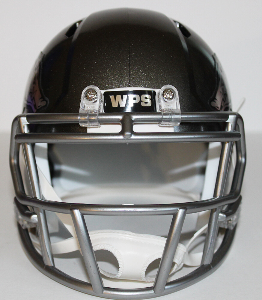 2015 Arkansas Razorbacks Anthracite Custom Riddell Mini Helmet vs ...