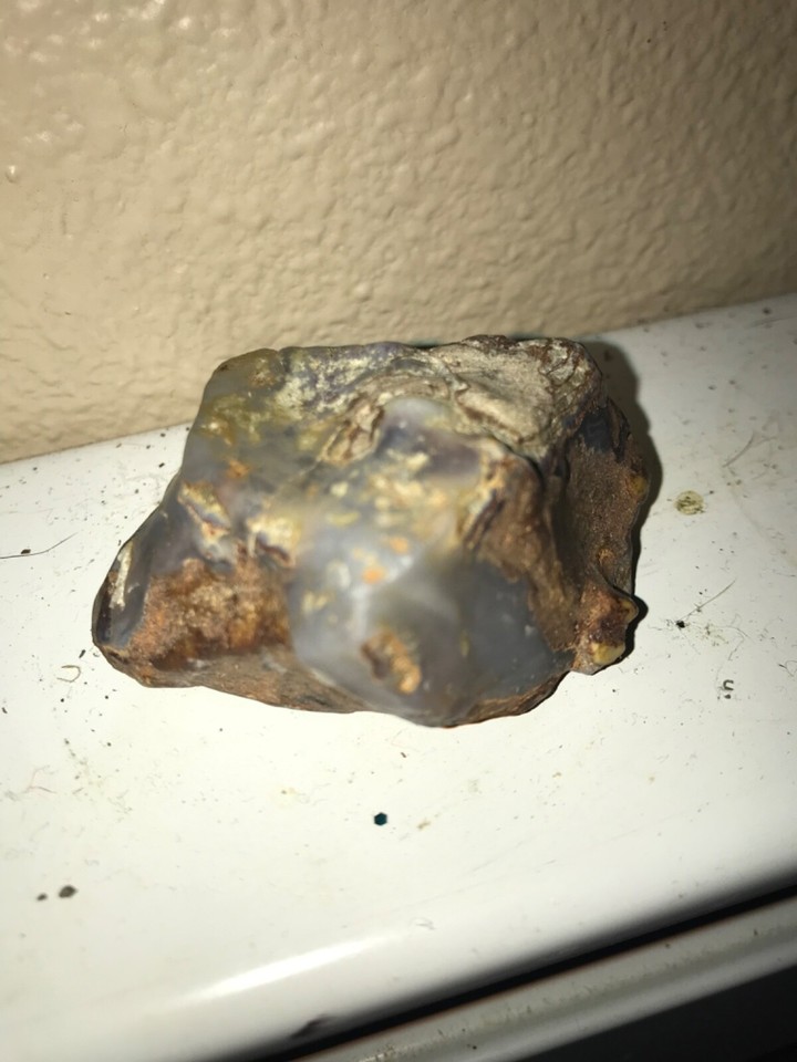 Ellensburg blue rocks fossils minerals crystals display specimen | eBay