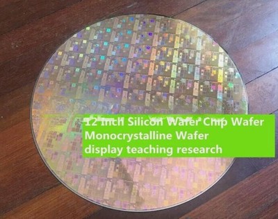 12 Inch Silicon Wafer Chip Wafer Monocrystalline Wafer display teaching ...