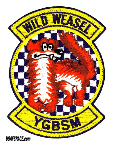 USAF 55TH FIGHTER SQ -55 FS- F-16 WILD WEASEL -YGBSM- Shaw AFB, SC -VEL ...