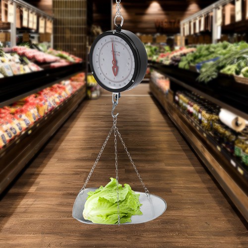 Double-Sided Dial Hanging Scale 10kg/22lbs for Home and Business Use | eBay
