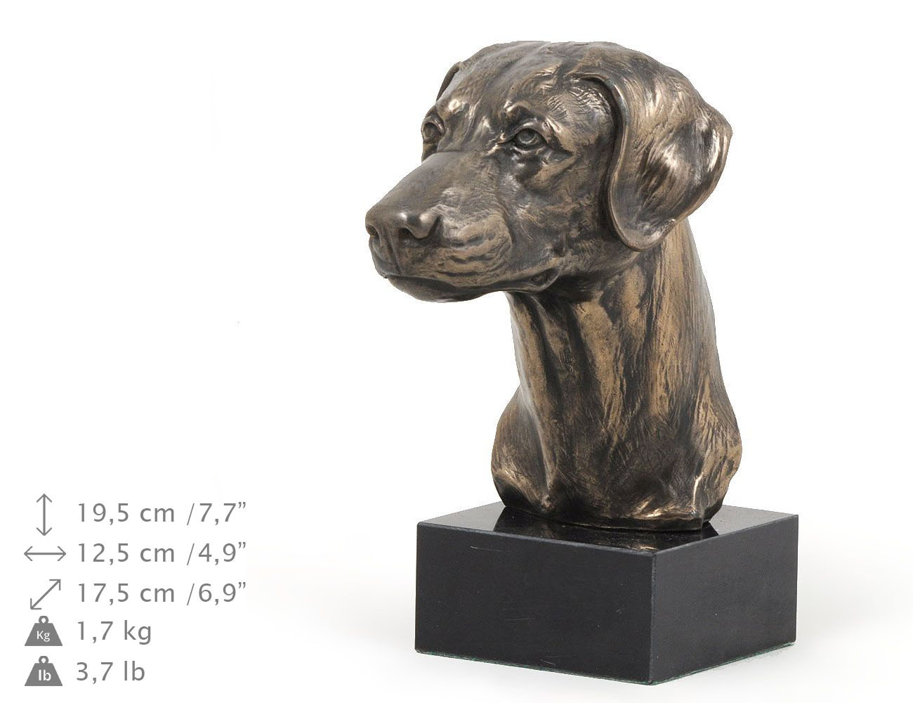 Doberman uncropped, dog bust marble statue, ArtDog Limited Edition, USA ...