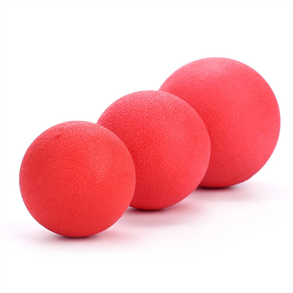 Solid Training Toy Rubber Ball Pet Puppy Dog Chew Play Fetch Bite ...