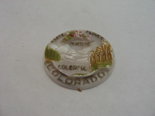 Rare Vintage Souvenir Blank: COLORADO State Flower Columbine | eBay