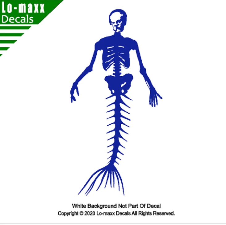 Real Life Mermaid Skeleton
