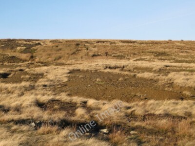 Photo 6x4 Redburn Common (10) Lintzgarth c2009 | eBay UK