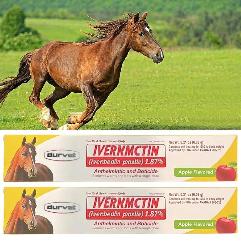 5PCS Paste Horse Dewormer - Apple Flavor Exp 3/2027 Anthelmintic ...