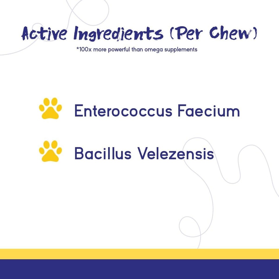 PupGrade Digestive Support Chews for Dogs - Prebiotic + Probiotic with ...