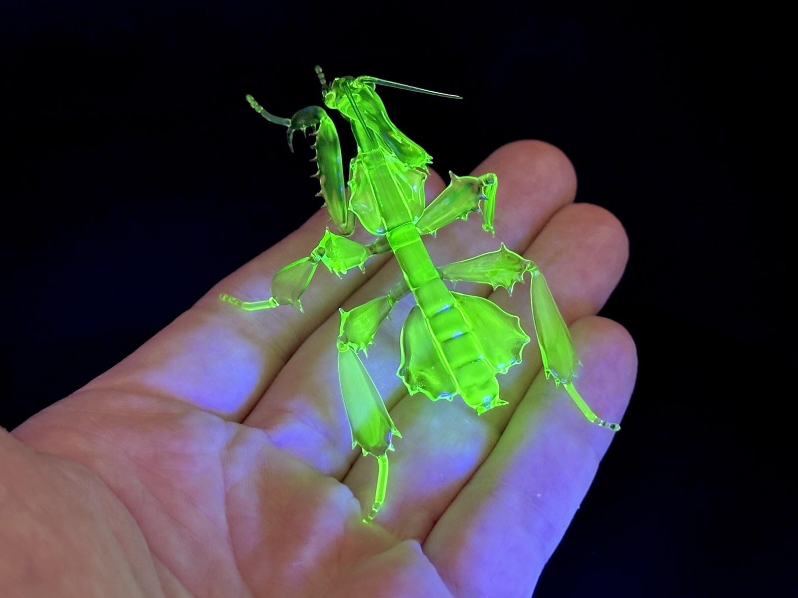 Uranium Vaseline Ghost Praying Mantis Layered Green Glasd By the Famous ...