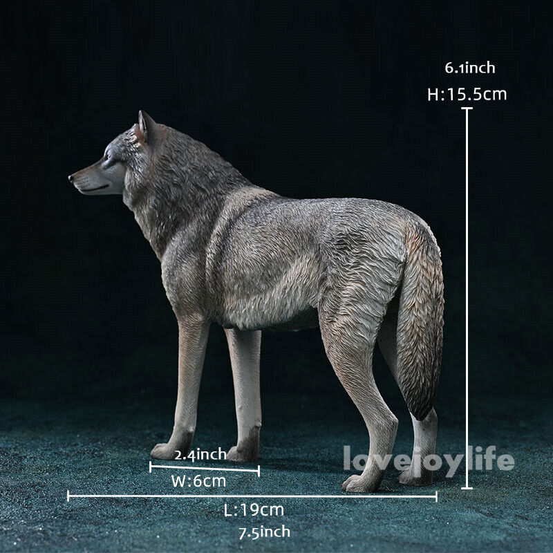 JXK 1/6 Arctic Wolf Model Canis Lupus Arctos Figure Wild Animal Collector Decor | eBay