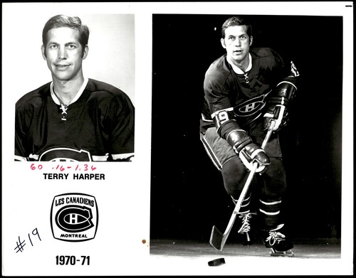 1970-71 MONTREAL CANADIENS 8X10 MEDIA PHOTOS RARE TERRY HARPER | eBay