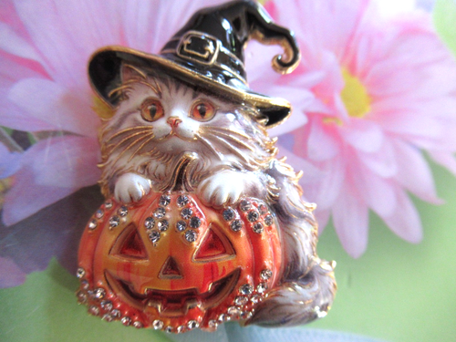 ADORABLE KITTEN CAT ENAMEL WITH CRYSTAL WITCH HAT HALLOWEEN BROOCH NEW ...