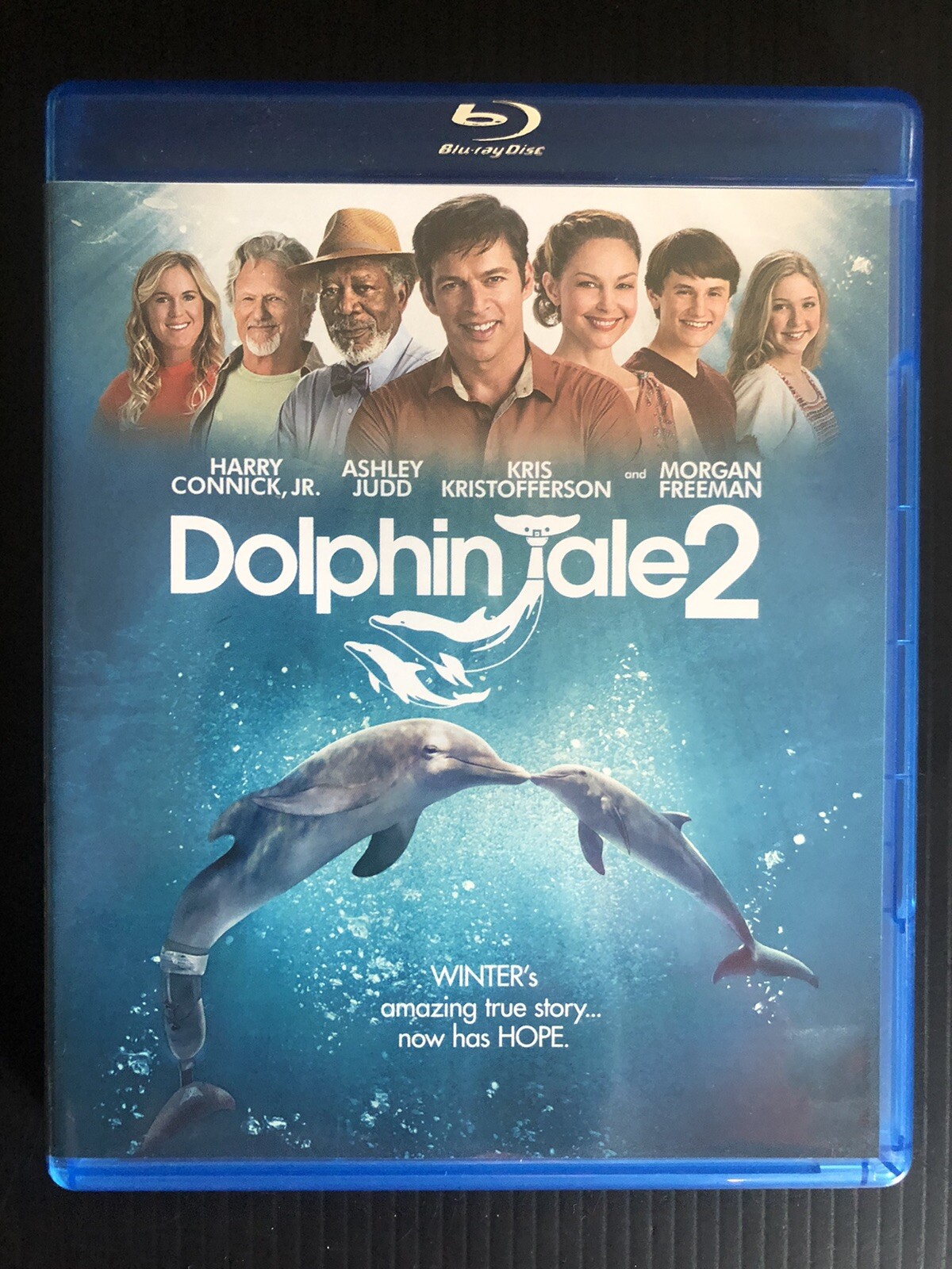 Dolphin Tale 2 Logo