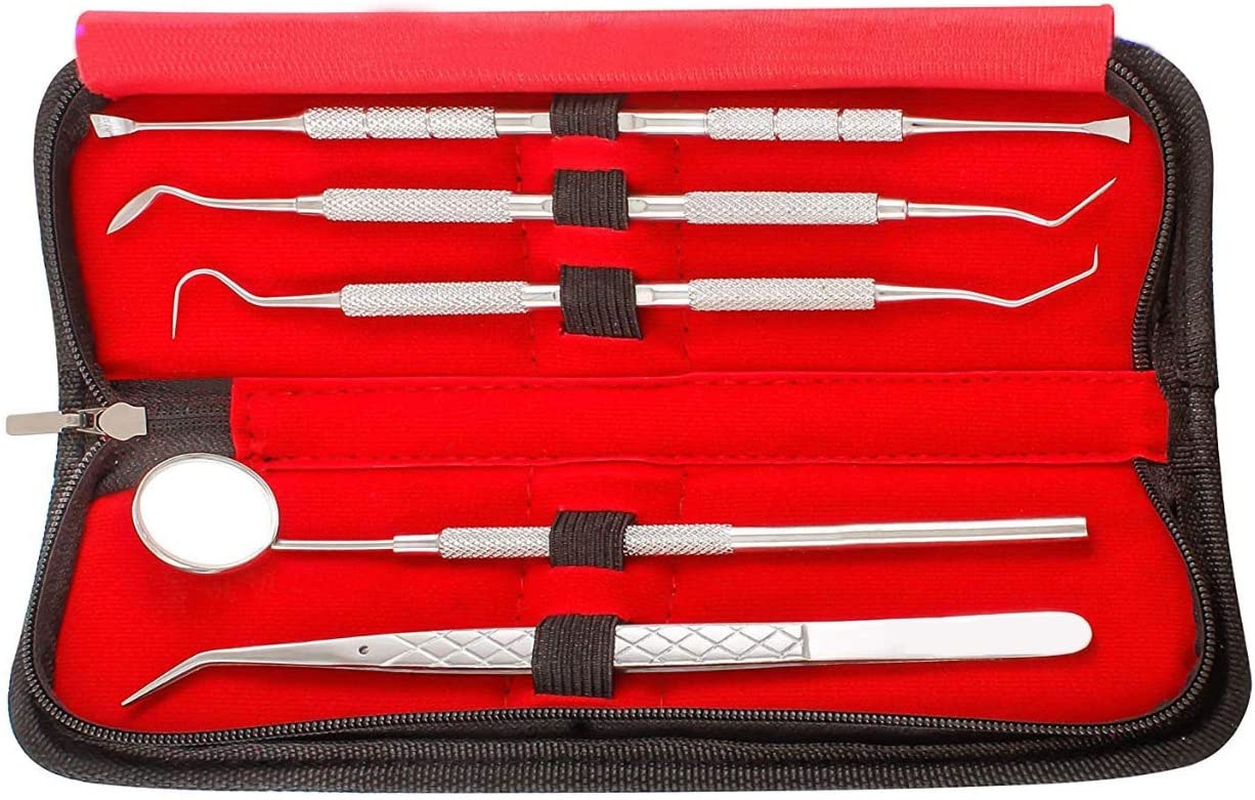 Professional Stainless Steel Dental Hygiene Kit 5 Tools for Teeth ...