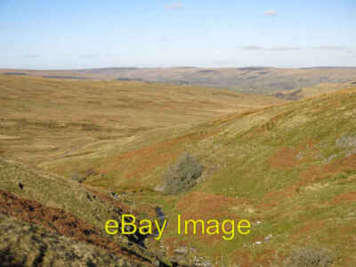 Photo 6x4 Wolf Cleugh (4) Brotherlee c2022 | eBay UK