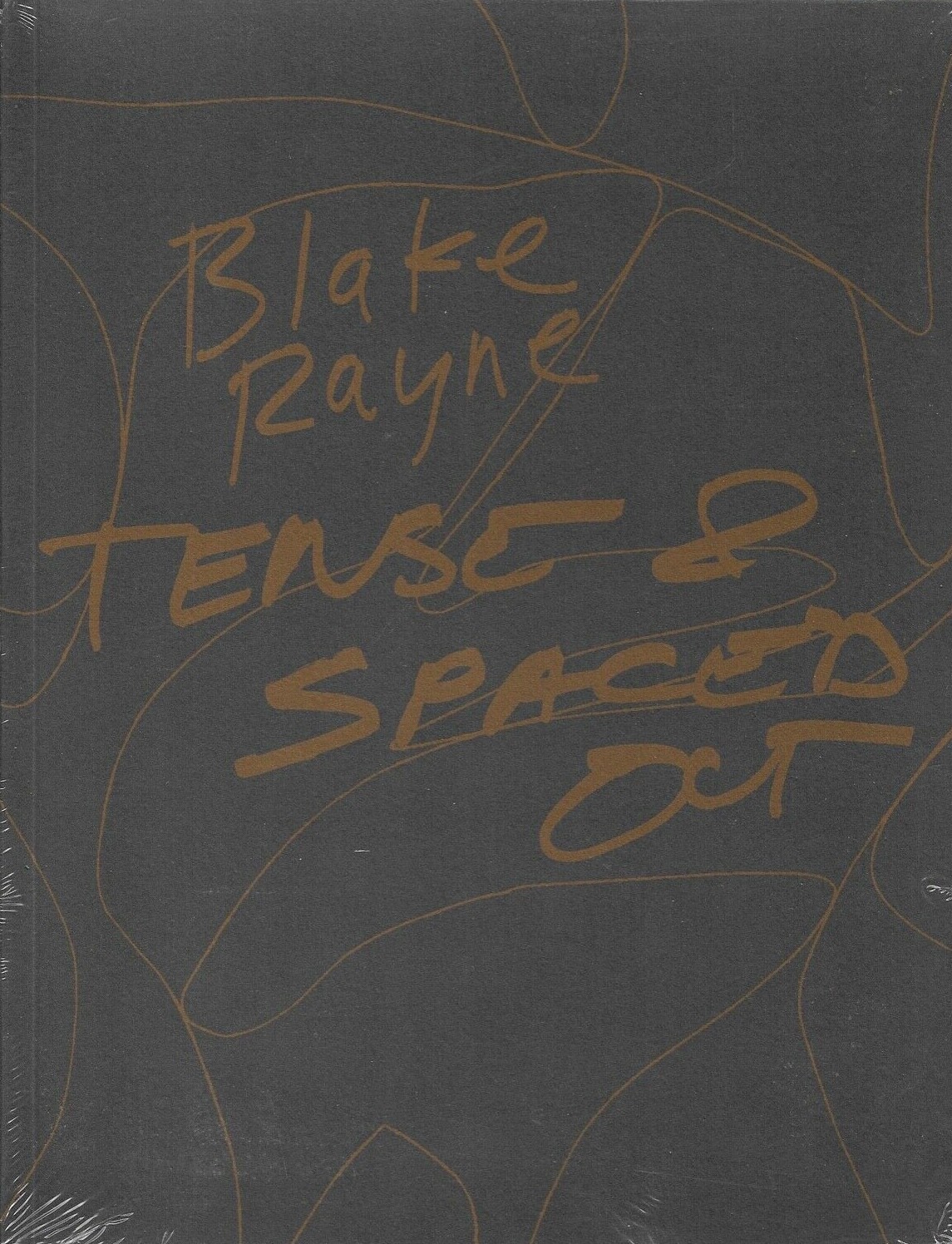 Tense & Space Out. Blake Rayne. Katherine Pickard, Editor. Paperback ...