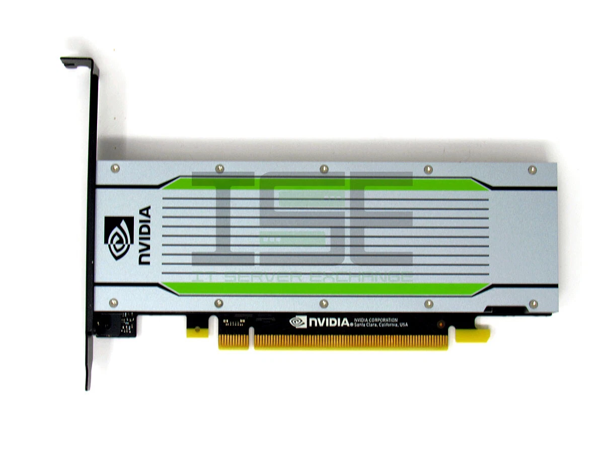NVIDIA Tesla T4 GPU Computing Processor