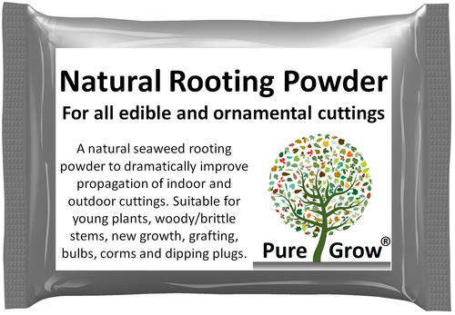 Rooting Hormone Powder for Plant Cuttings & Hydroponics - Natural Root ...