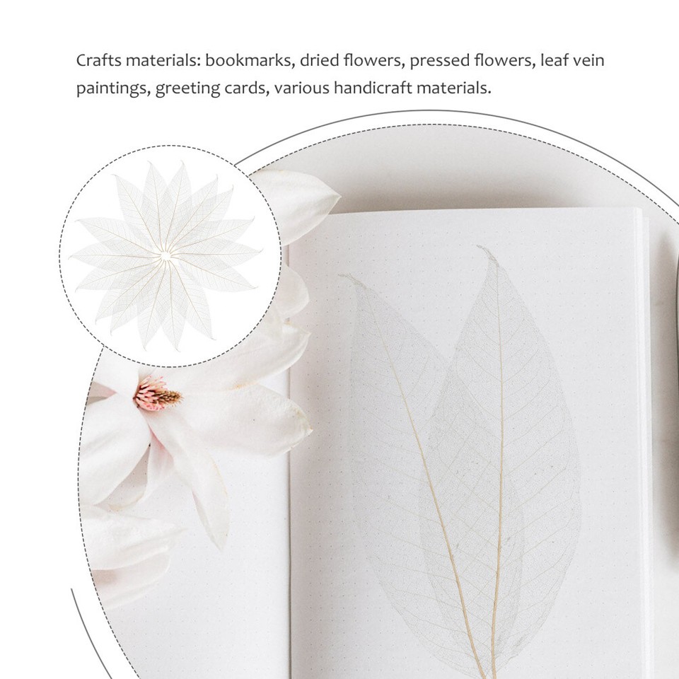 100 Pcs Leaf Vein Specimens Dry Flower Bookmark Card Embellishment ...