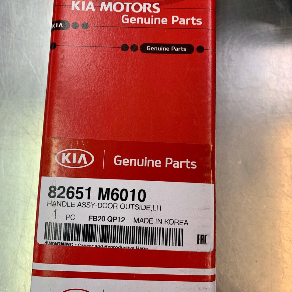 NEW OEM KIA 2019-2020 FORTE FRONT OUTER DOOR HANDLE-DRIVER SIDE | eBay