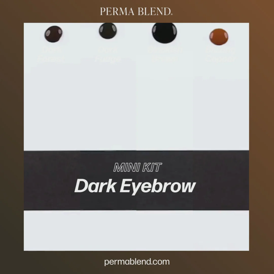 PERMA BLEND Set Kit Permanent Makeup Microblading Pigments Permablend ...