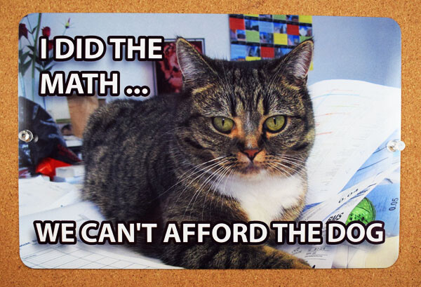 Math Dog Memes If You Like Dogs More Than People, You May Enjoy These