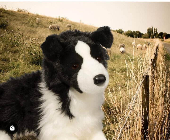 Douglas 16" Chase Border Collie Dog Plush Stuffed Animal black cuddle ...
