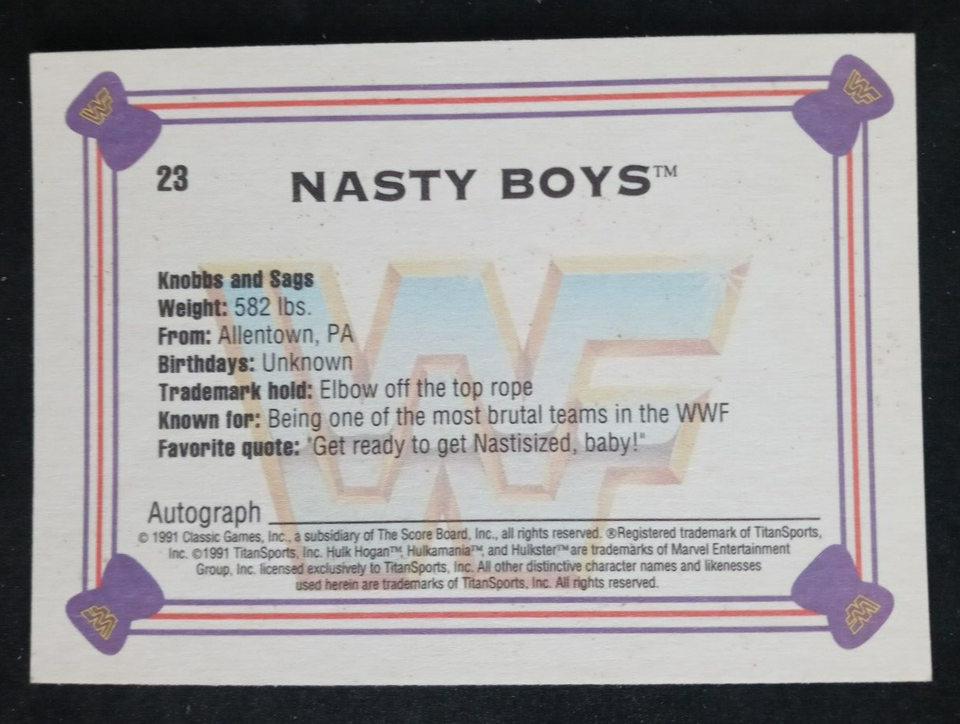 1991 Classic WWF Nasty Boys #23 | eBay