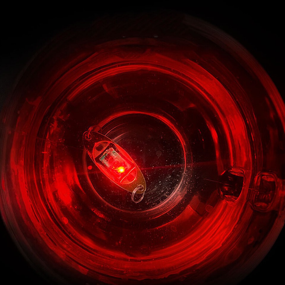 LED Fishing Lure Light Luminous Bait Lamp Deep Drop Fish Light for ...