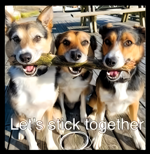 Let's Stick Together Dogs Playing Fetch Cute Pets Love Four Legged ...