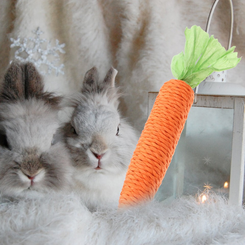 3 Pcs Corn Dog Toy Teething Chinchilla Toys Pet | eBay