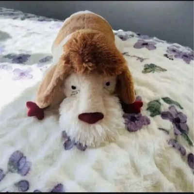 Ghibli Park Exclusive Howl’s Moving Castle Hin Heen Plush Stuffed Toy ...