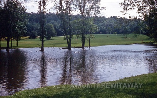 1960 COLOR SLIDE 1082 PA Bushkill Poconos Resort Fernwood Golf Course ...